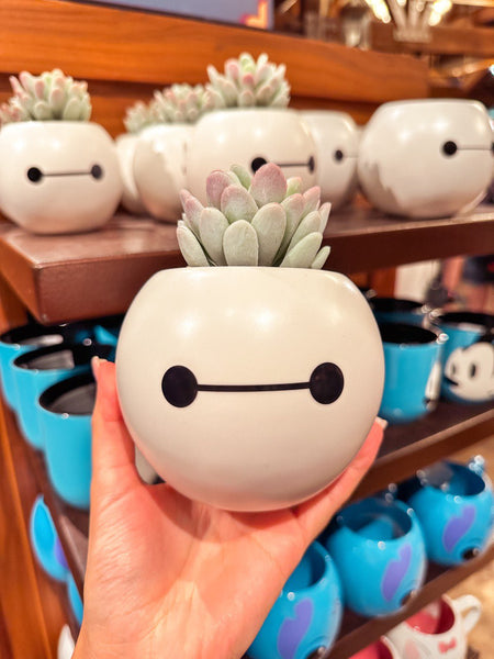 Decoración – Space Store